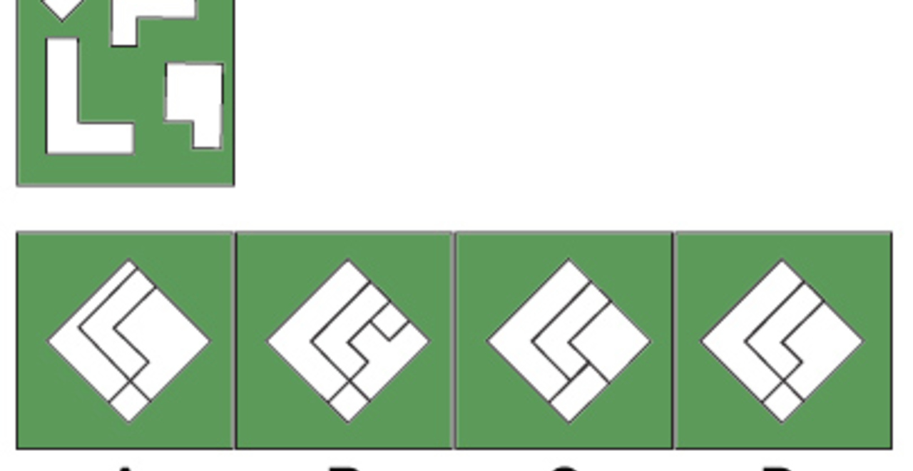 Intelligentie is erfelijk - NEMO Kennislink