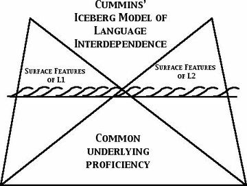 Meertaligheid: geen nadeel, maar voordeel - NEMO Kennislink