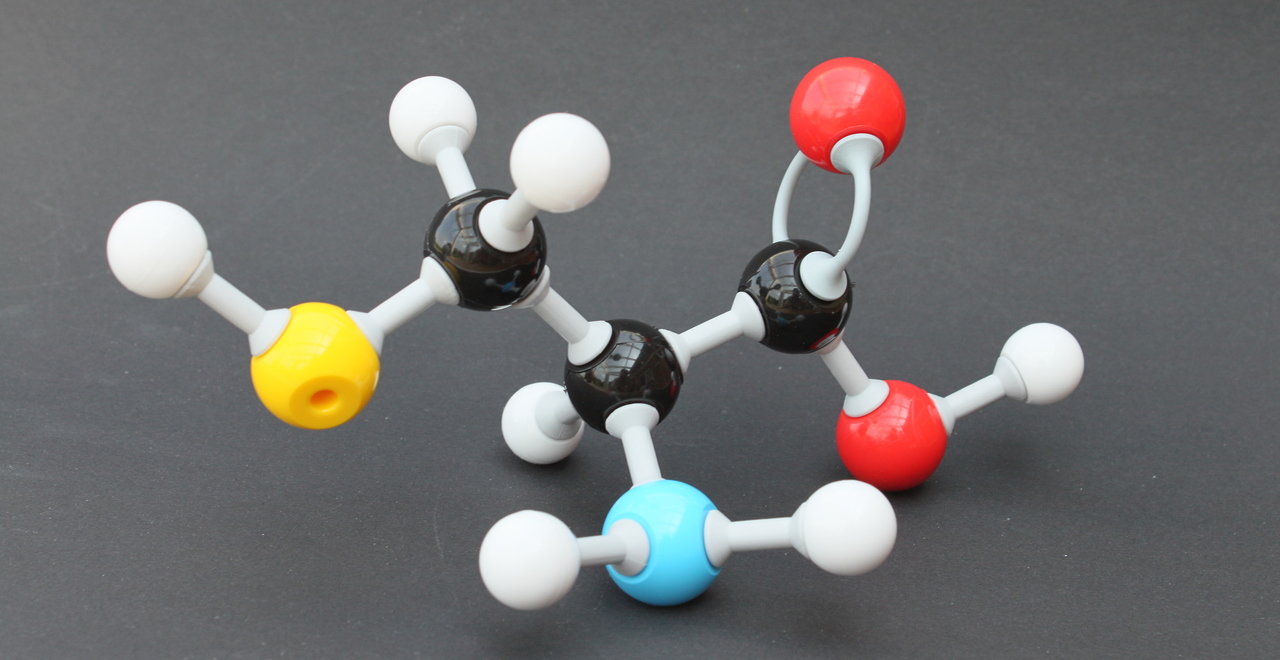 Leven bouwen met moleculen - NEMO Kennislink