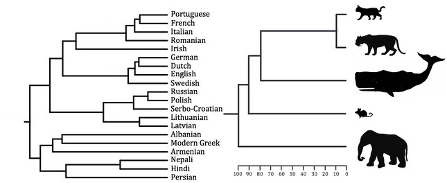Talen in beweging - NEMO Kennislink