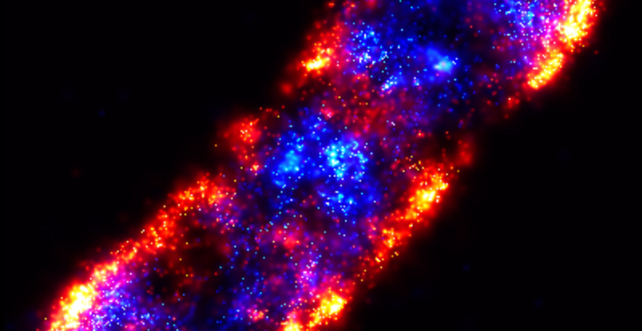 Schommelende stofwisseling - NEMO Kennislink