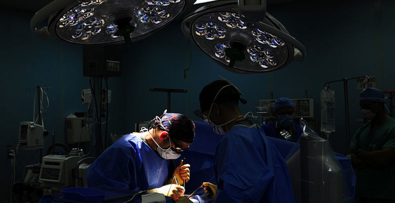 Onderzoek van apenkenners Frans de Waal en Laura Jones naar ...