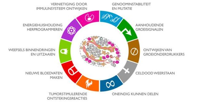 Wat is kanker, waarom zijn er zoveel verschillende soorten, en hoe ...