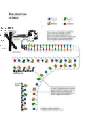Nobelprijs Scheikunde voor onderzoek naar DNA-reparatie - NEMO Kennislink