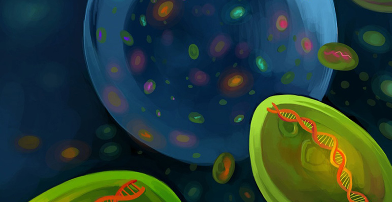 Wat is een levende cel? - NEMO Kennislink