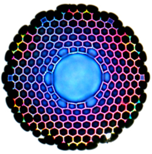 Het internet van de toekomst - NEMO Kennislink