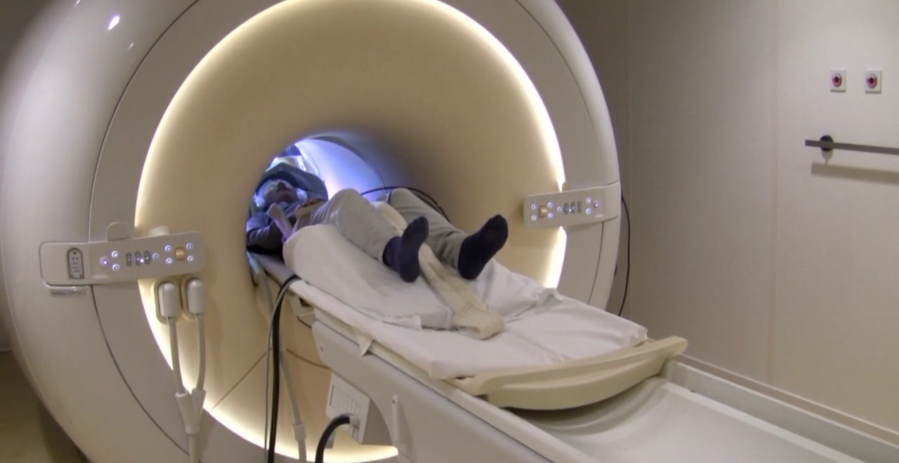 'Bijzonder om zo gedetailleerd in het brein te kijken' - NEMO Kennislink