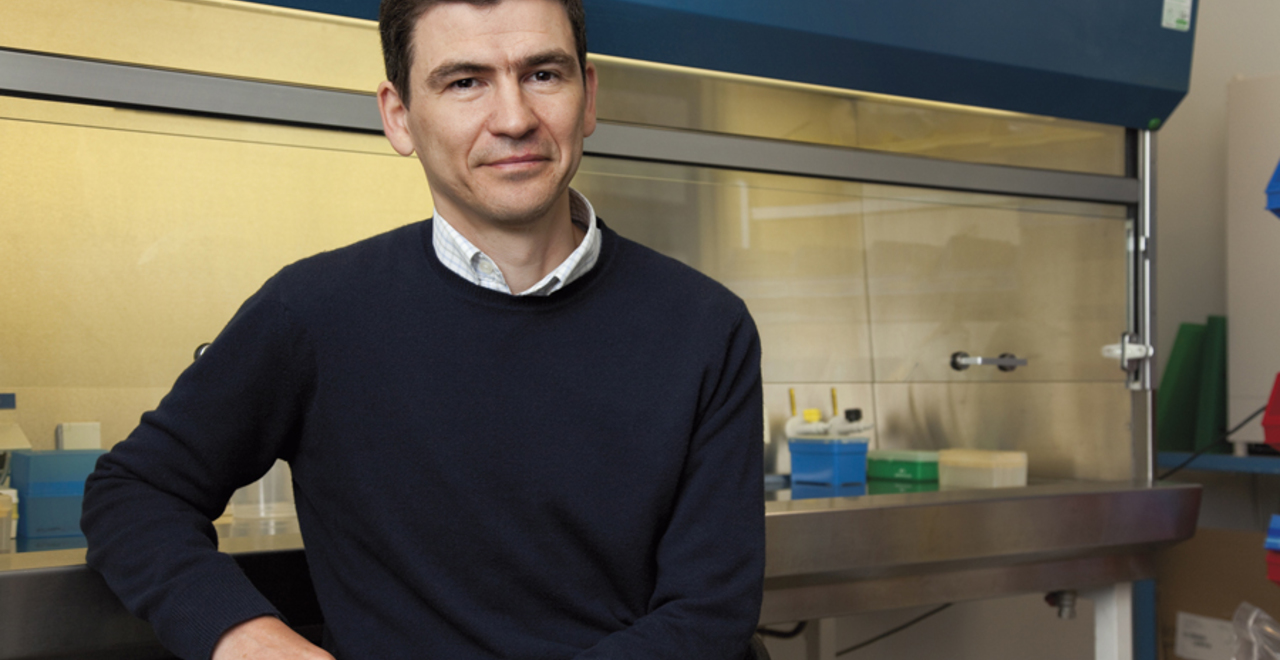 Immunoloog Mihai Netea wint Spinozapremie voor onderzoek naar de ...