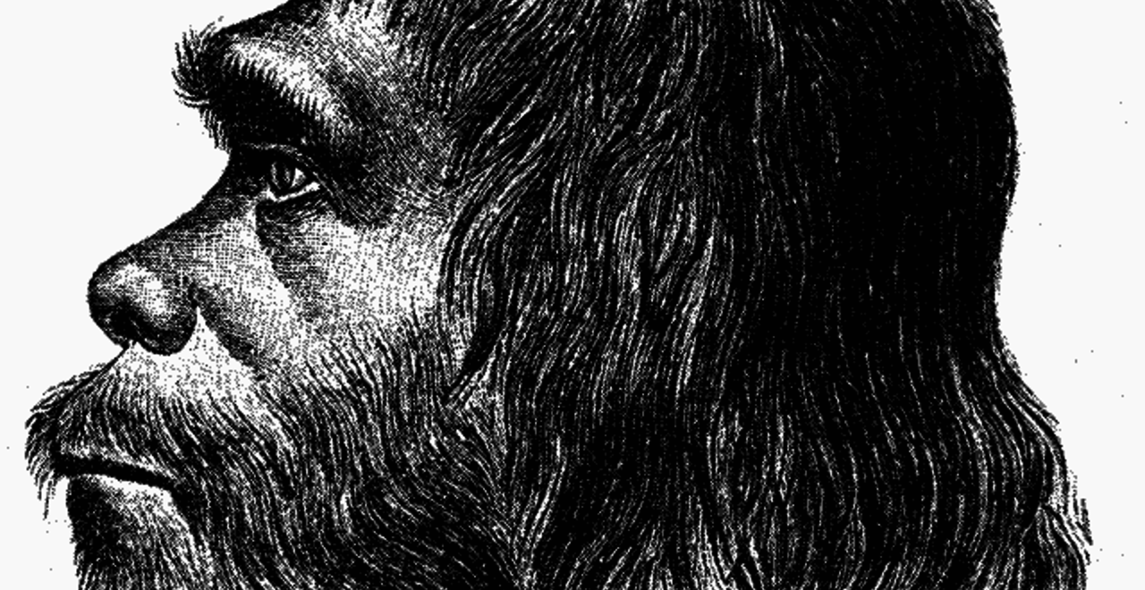 Tandsteen verraadt leefgewoonten neanderthalers - NEMO Kennislink