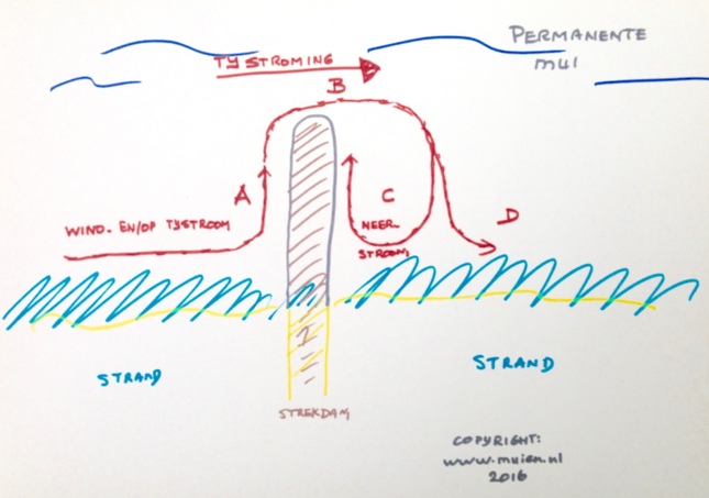 Waarom is zwemmen in de zee gevaarlijk? Vooral een muistroom kan mensen ...