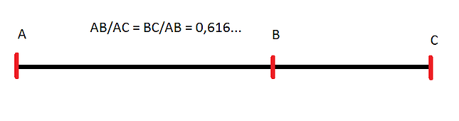 Het geheim van de gulden snede - NEMO Kennislink