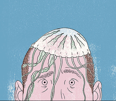 voorpublicatie uit het boek 'Plassen over kwallenbeten: 50 misvattingen ...