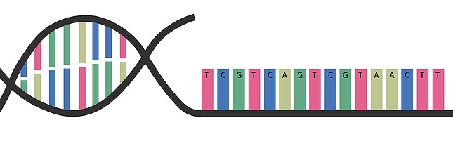 Wetenschappers maken barcode van DNA - NEMO Kennislink