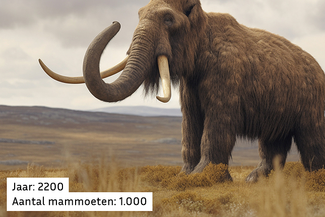 De mammoet komt terug! Hiep, hiep, hoera? - NEMO Kennislink