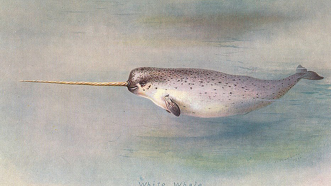 Vreemde schepsels: fossiel of fictie? - NEMO Kennislink